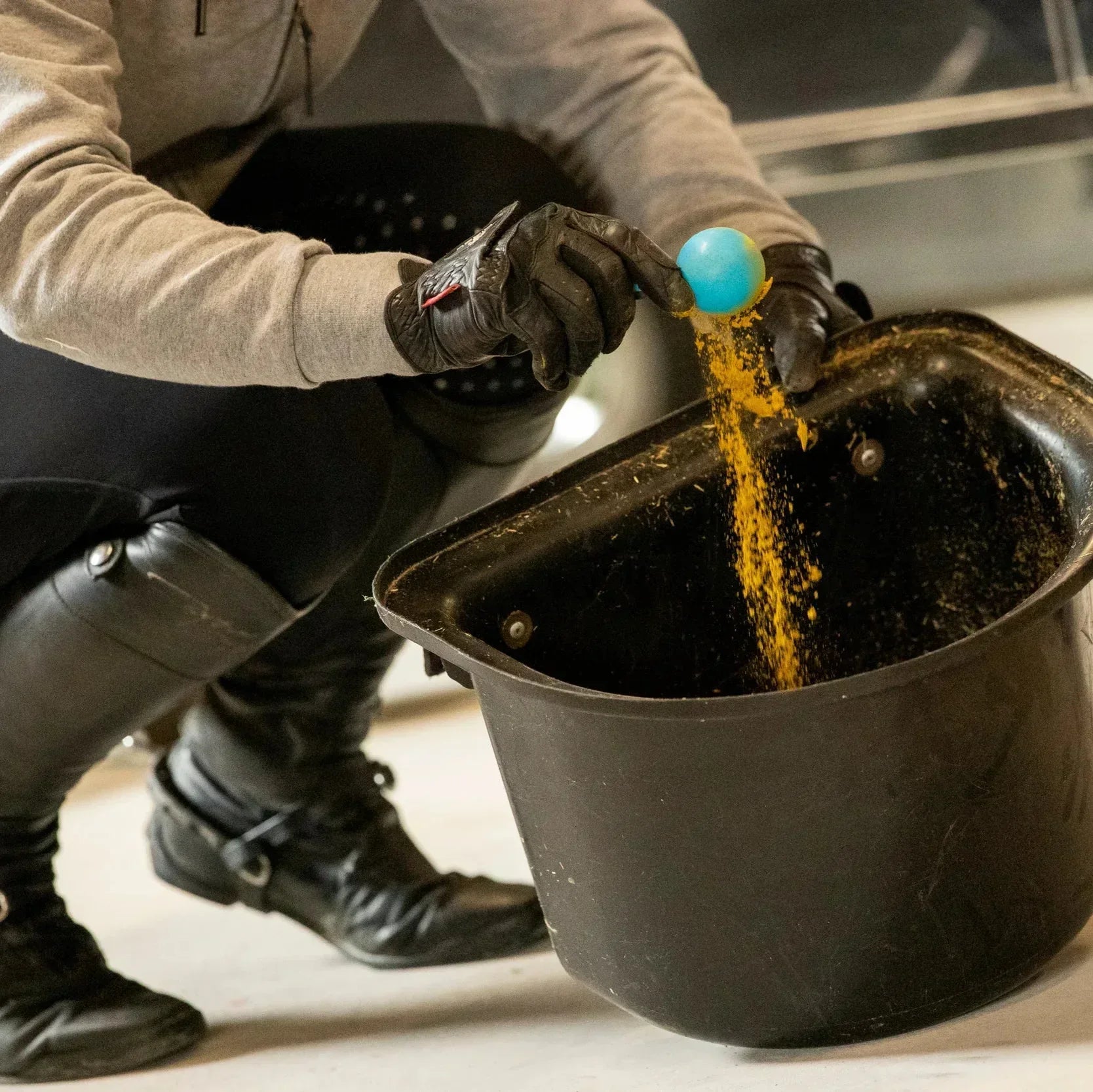 Saving with Supplements | Blogs - NAF Equine