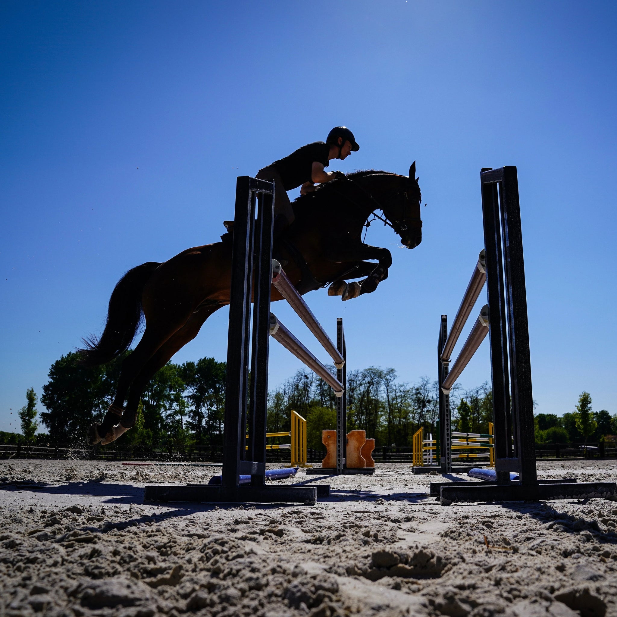 Horse Performance & Recovery - NAF Equine