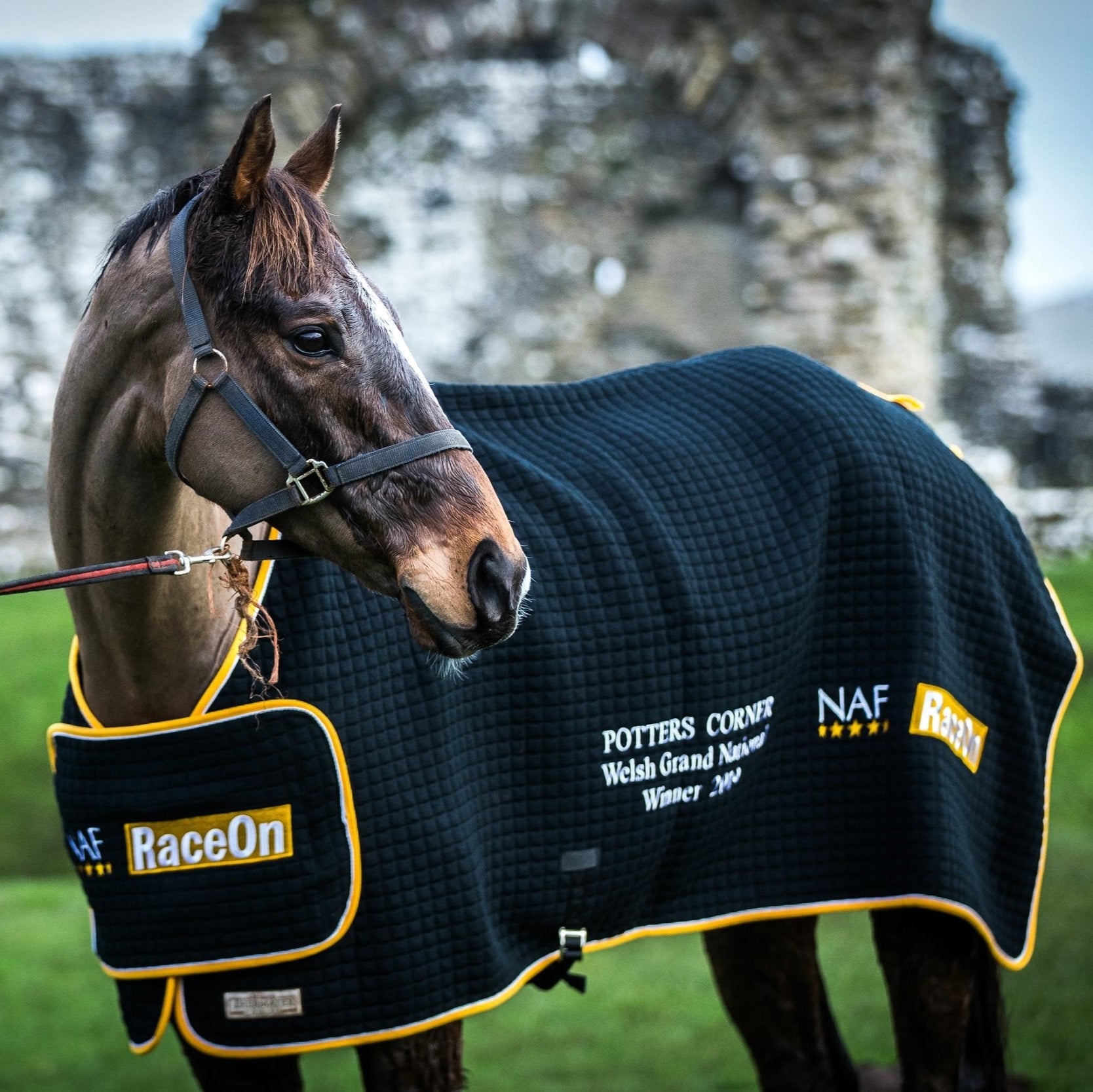 Racehorse Supplements | Racing - NAF Equine