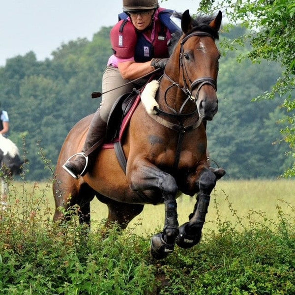 NAF Equine - For the Good of the Horse